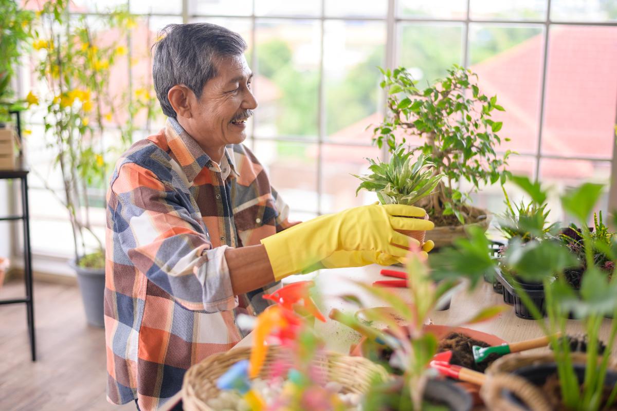 Types of Hobbies Seniors Can Pick Up in Retirement | Baptist Retirement ...