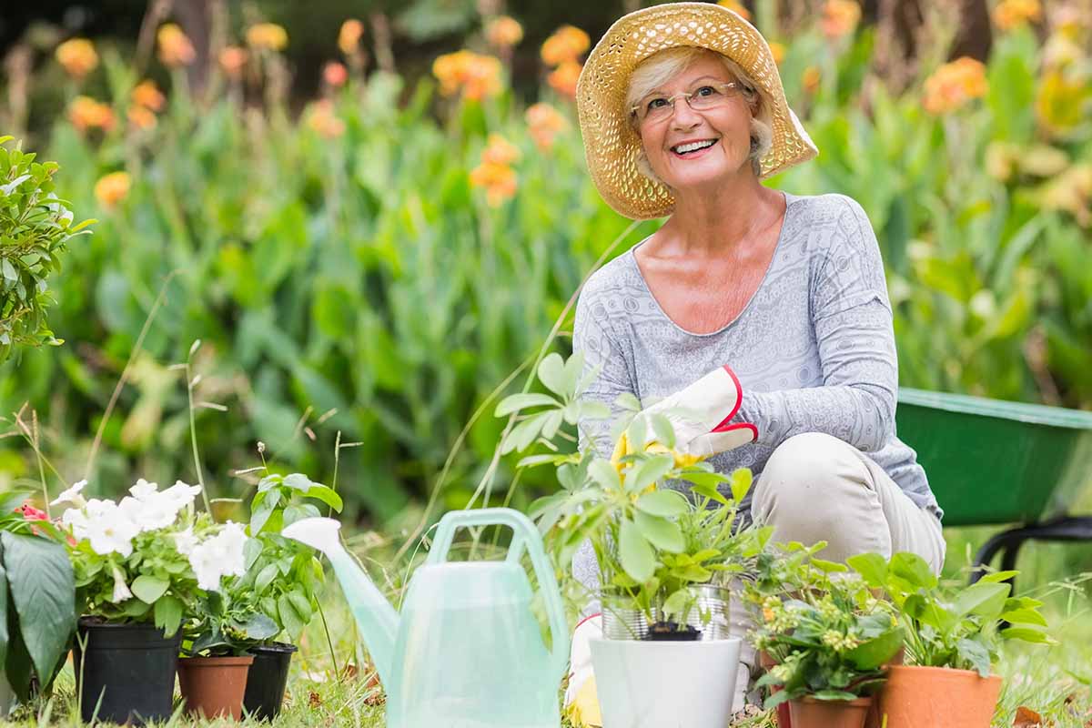 Summer Activities For Seniors Summer Activities In Senior Living Summer Activities For Seniors Summer Activities In Senior Living